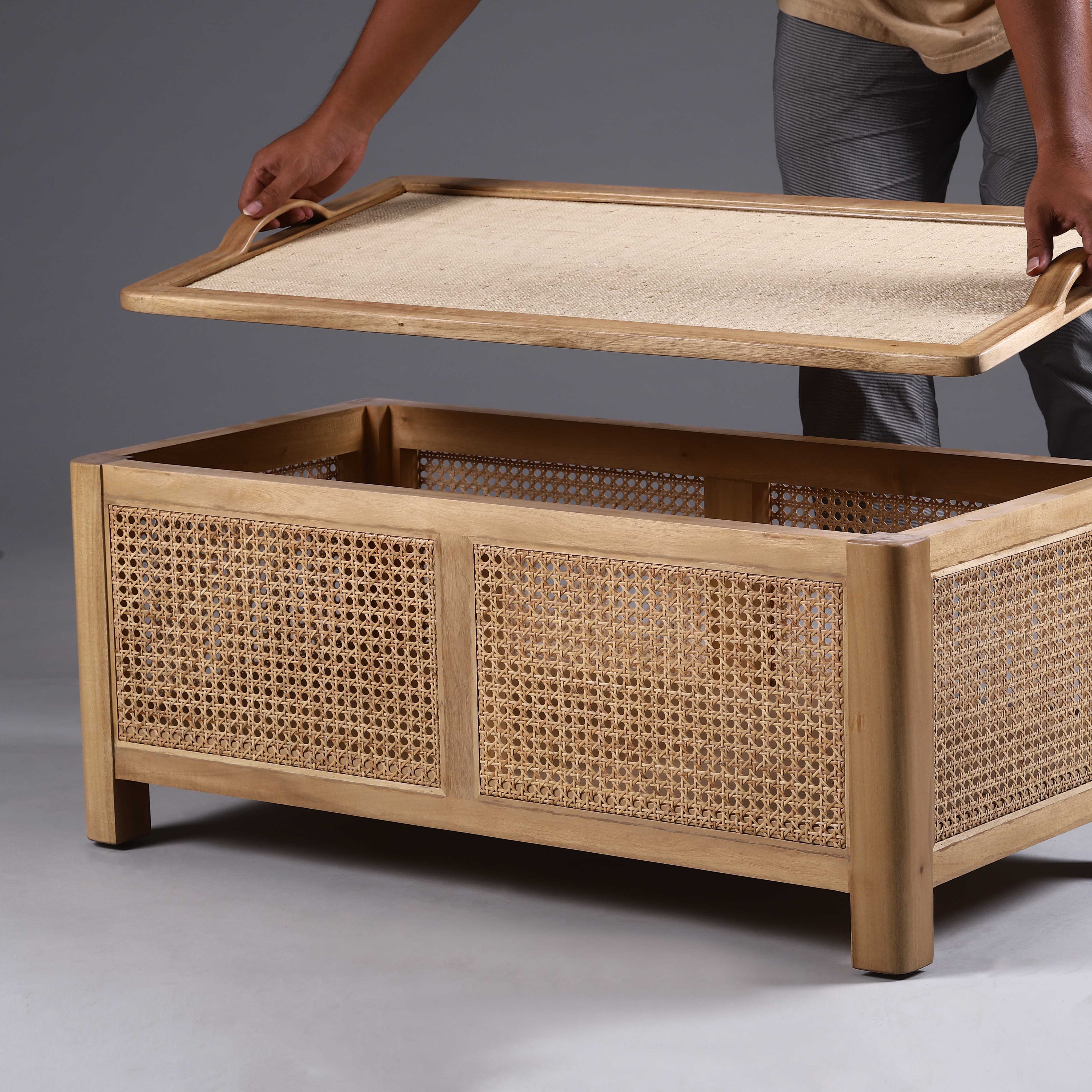 Paquita Trunk with Tray Top – Casa Selma